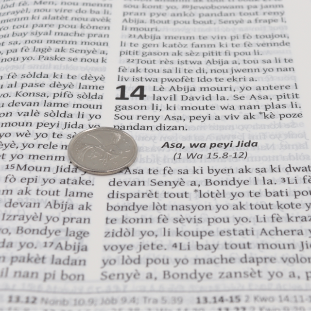 Haitian Creole Large Print Bible | BiblesCanada