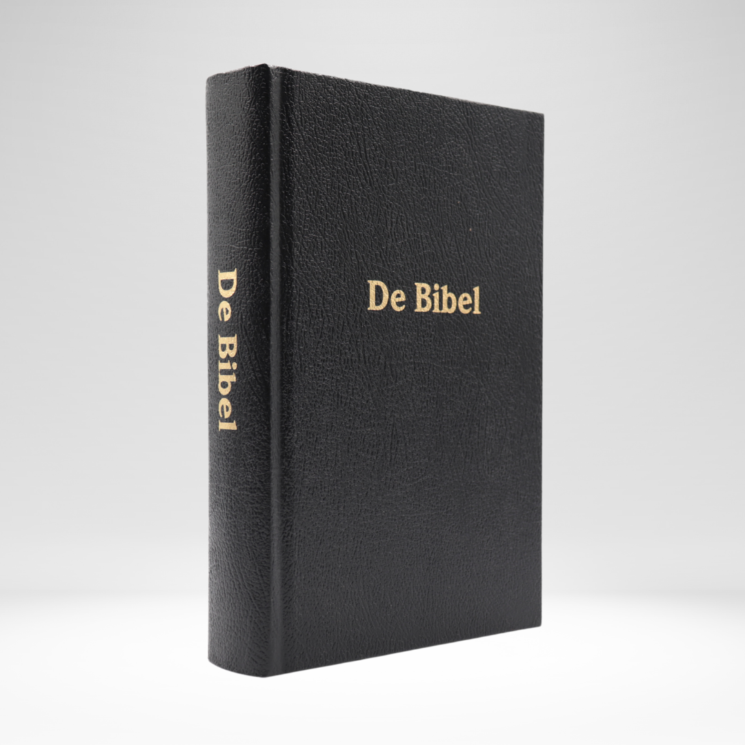 Plautdietsch Bible | BiblesCanada