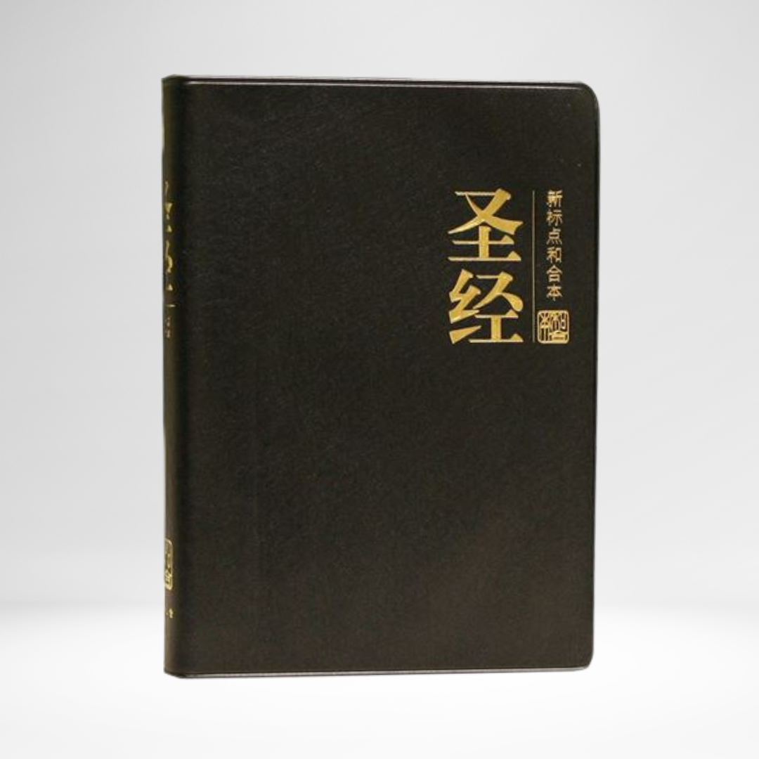 Chinese Bible Simplified Script | BiblesCanada